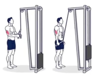 La entesopatía de tríceps. Tratamiento activo - Easy Fisioterapia